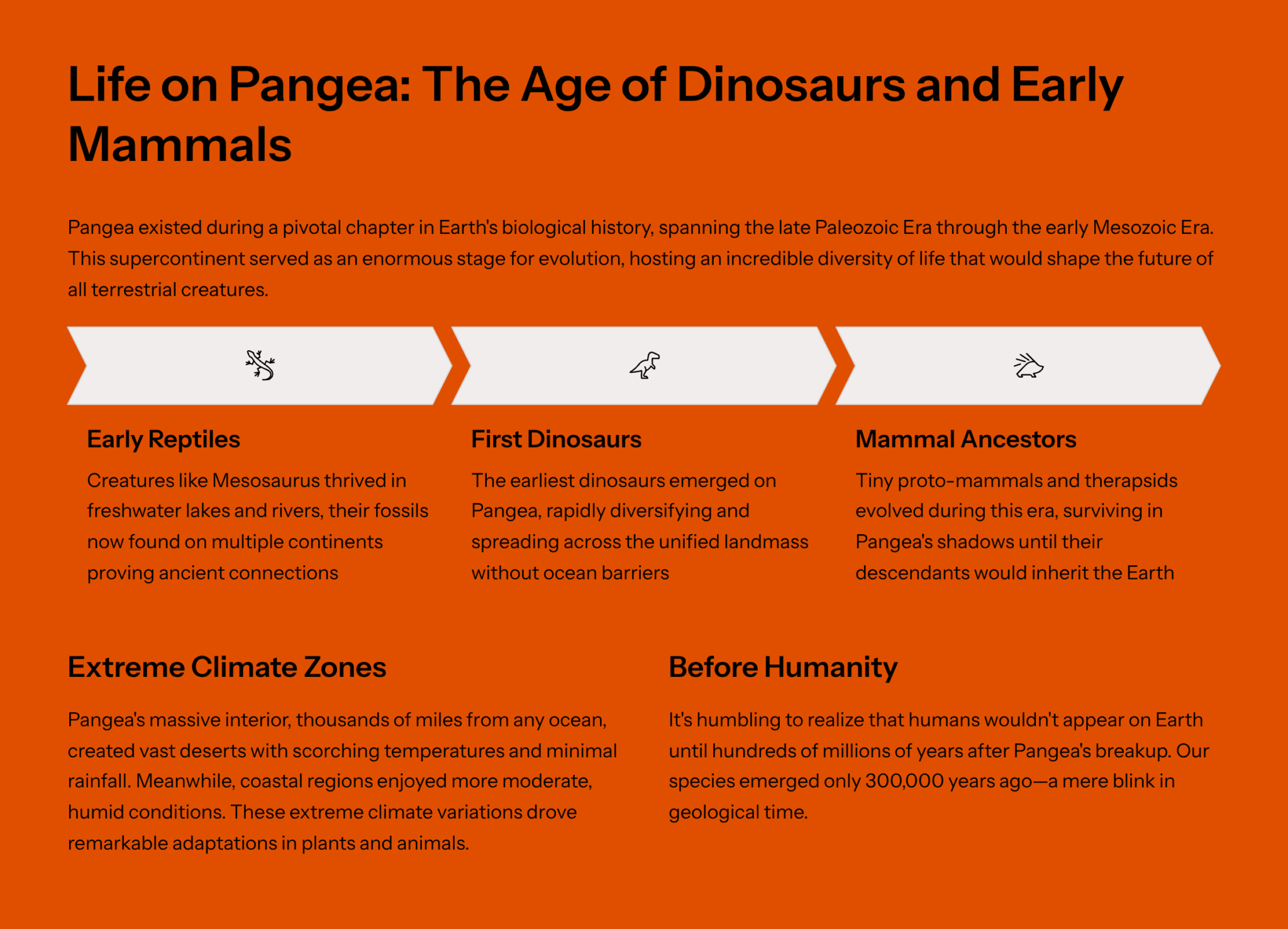 THE PREHISTORIC WORLD - My History Classes