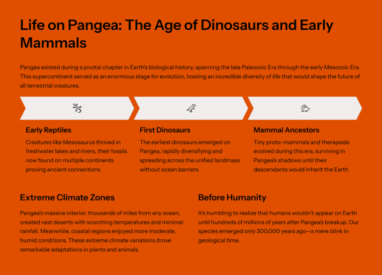 THE PREHISTORIC WORLD - My History Classes